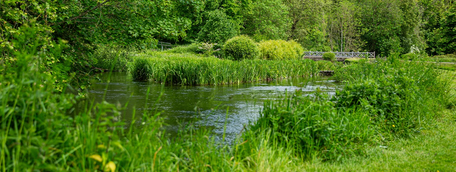 A Pristine Country Estate - Wherwell Priory