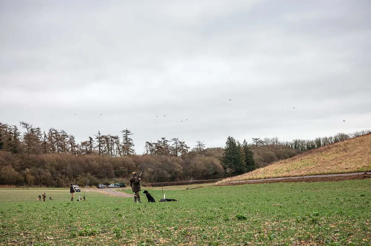 A World Class Sporting Estate - Wherwell Priory