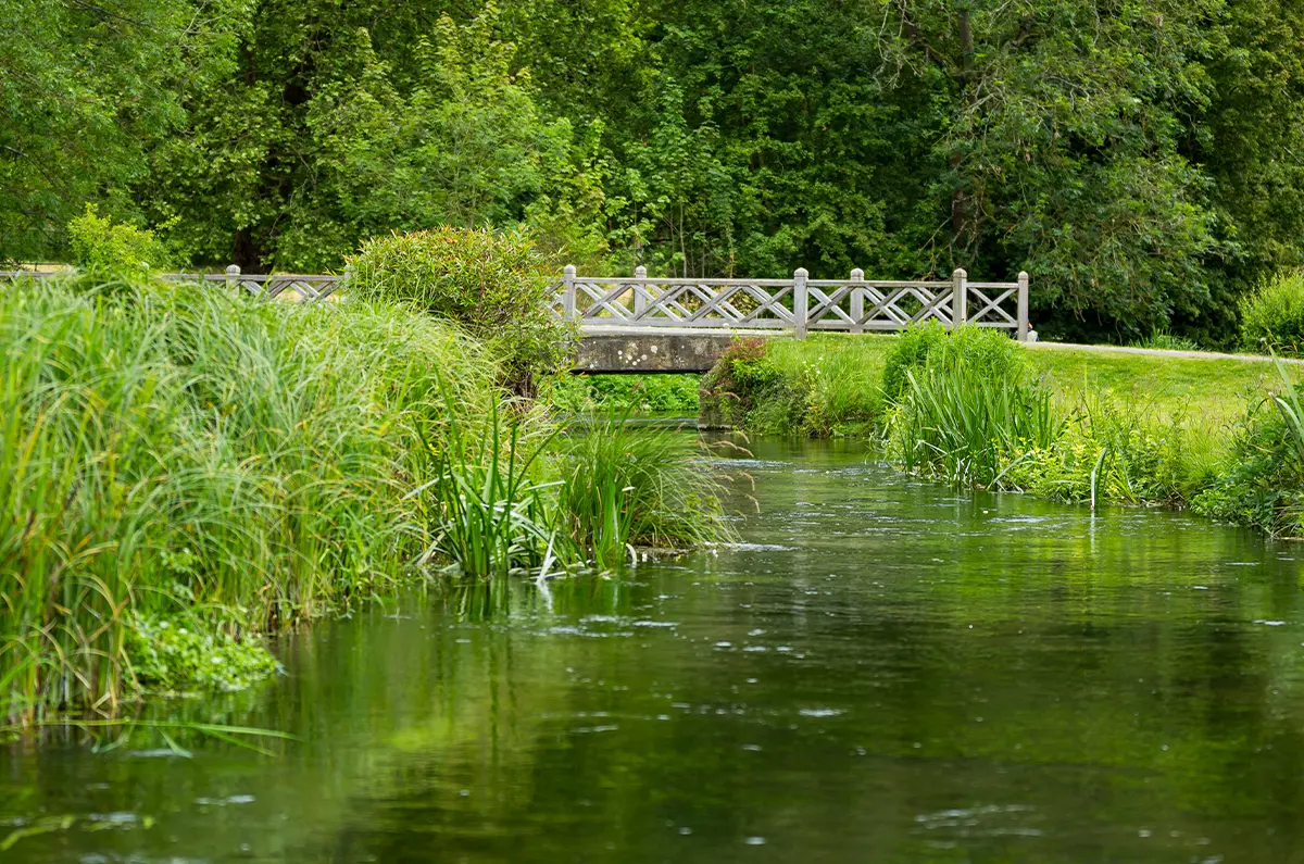 The Finest Chalkstream Trout Fishing - Wherwell Priory