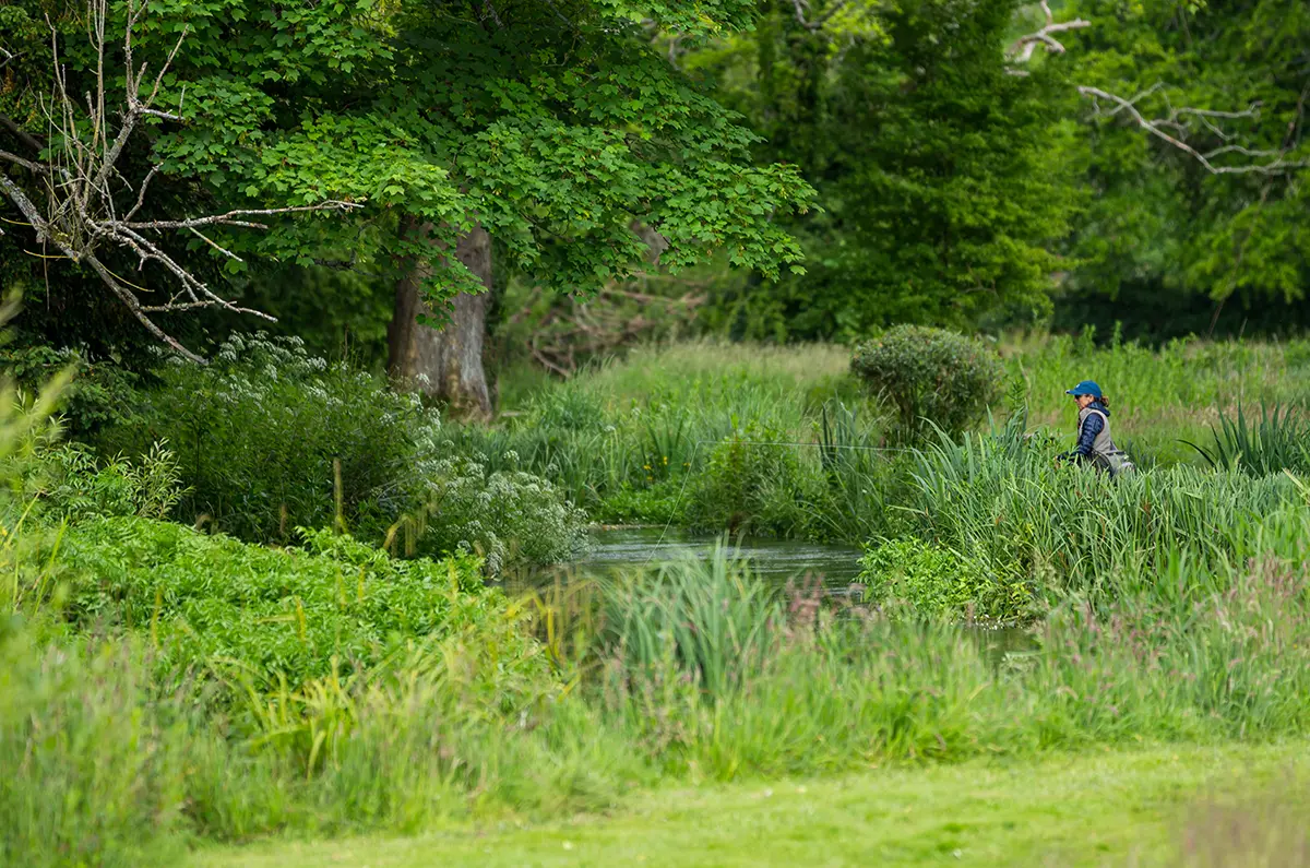 The Finest Chalkstream Trout Fishing - Wherwell Priory