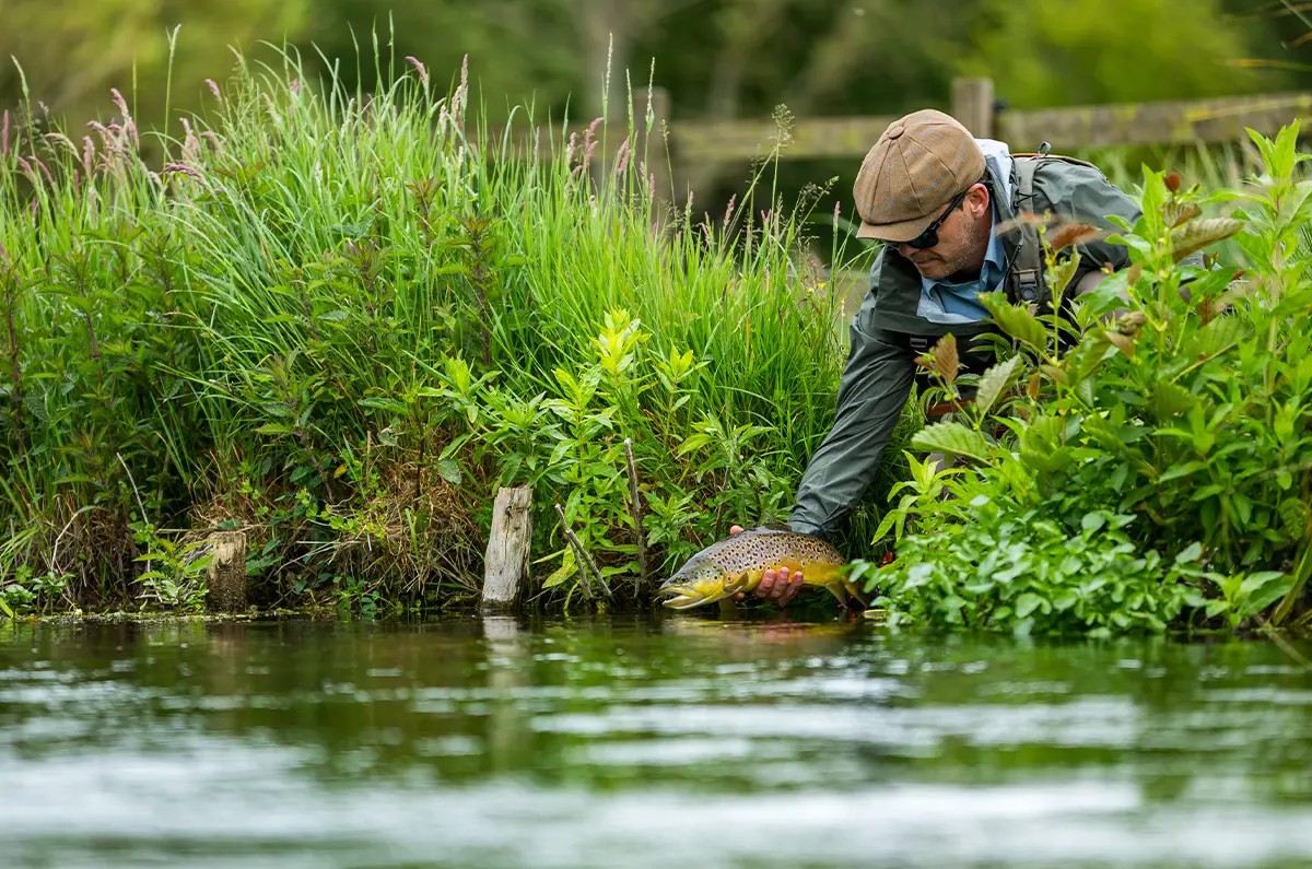 The Finest Chalkstream Trout Fishing - Wherwell Priory